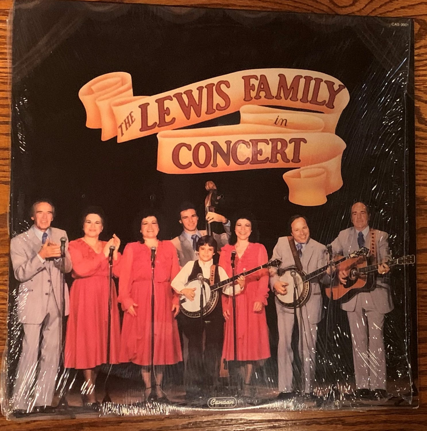 The Lewis Family In Concert Live at Opryland Gospel Bluegrass Country ...