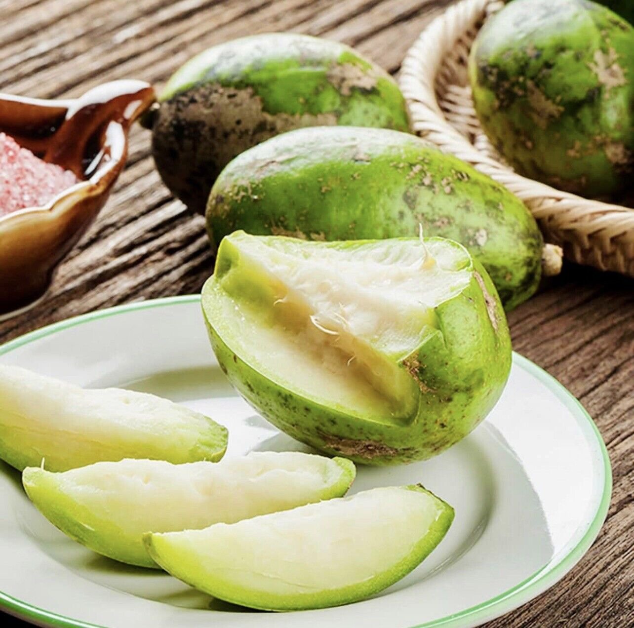 JUNE PLUM , JOBO (Spondias dulcis) tropical fruit tree 12”-24”