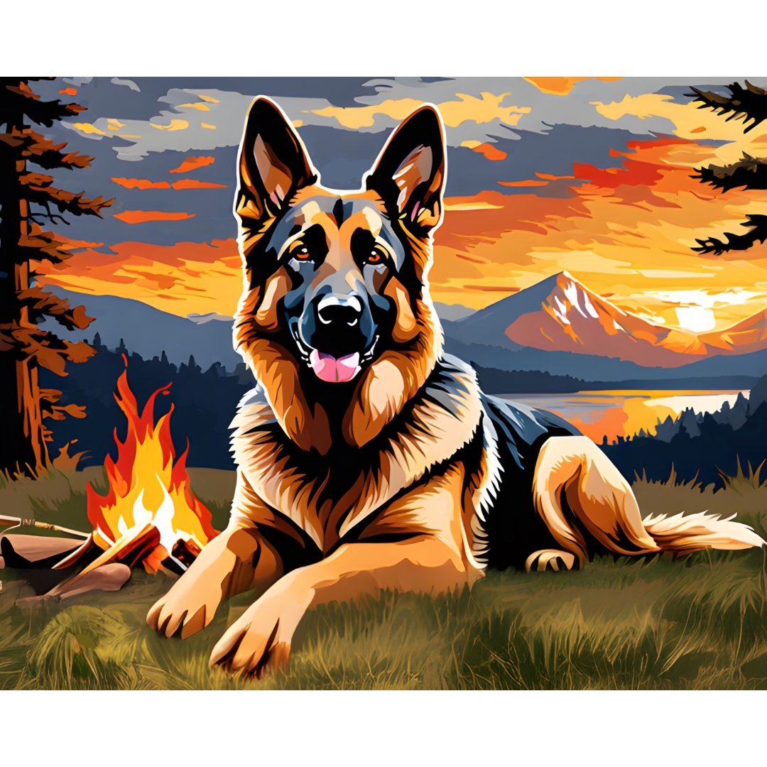 Paint by Numbers - German Shepherd, Animal Paintings, DIY Acrylic ...