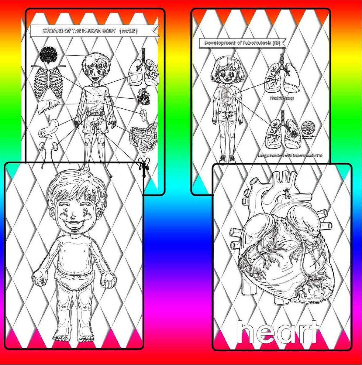 Human Anatomy Coloring Book For Kids Fun And Educational Way To Learn