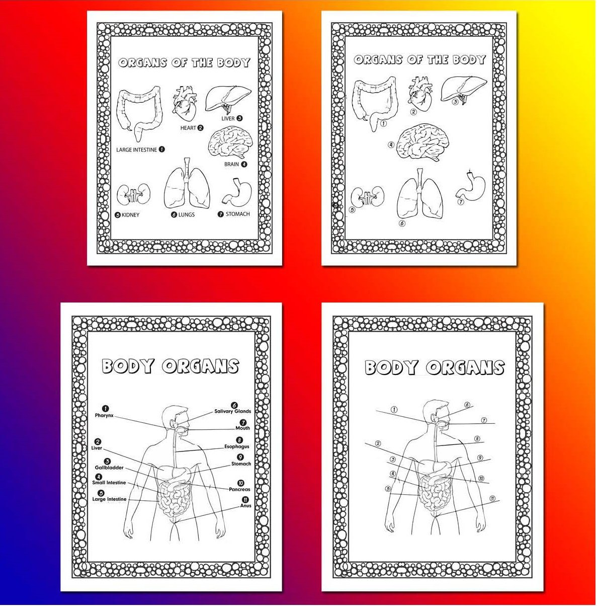 Human Anatomy Coloring Pages for Kids, learn the body parts name