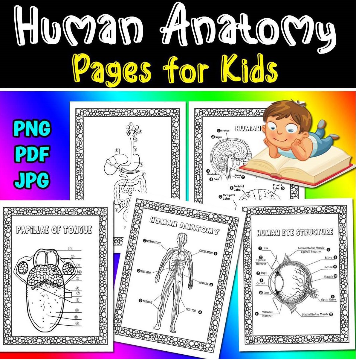 Human Anatomy Coloring Pages for Kids, learn the body parts name