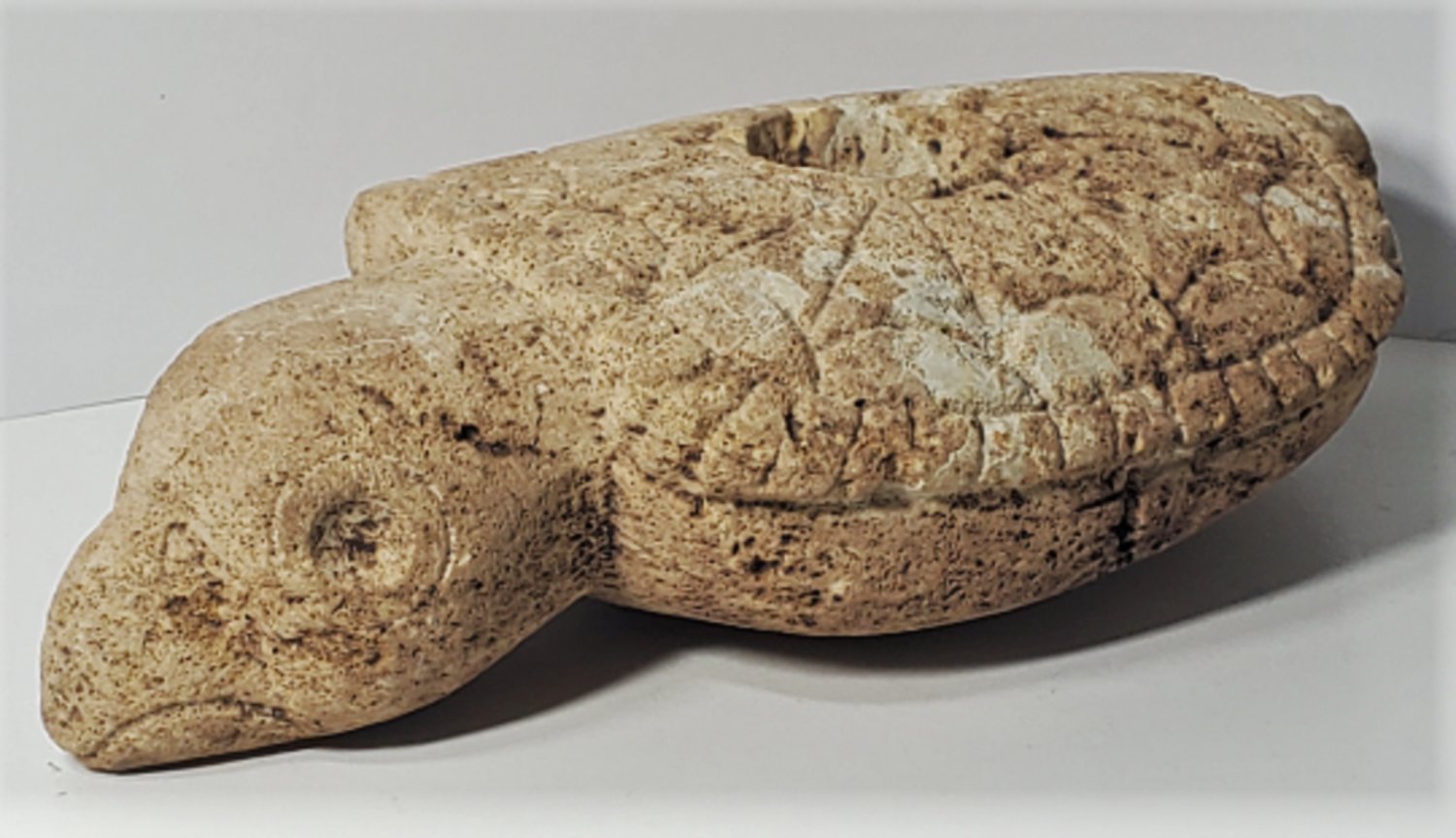 Ancient Woodland Native Clay-Mudstone Ceremonial Turtle Effigy Pipe