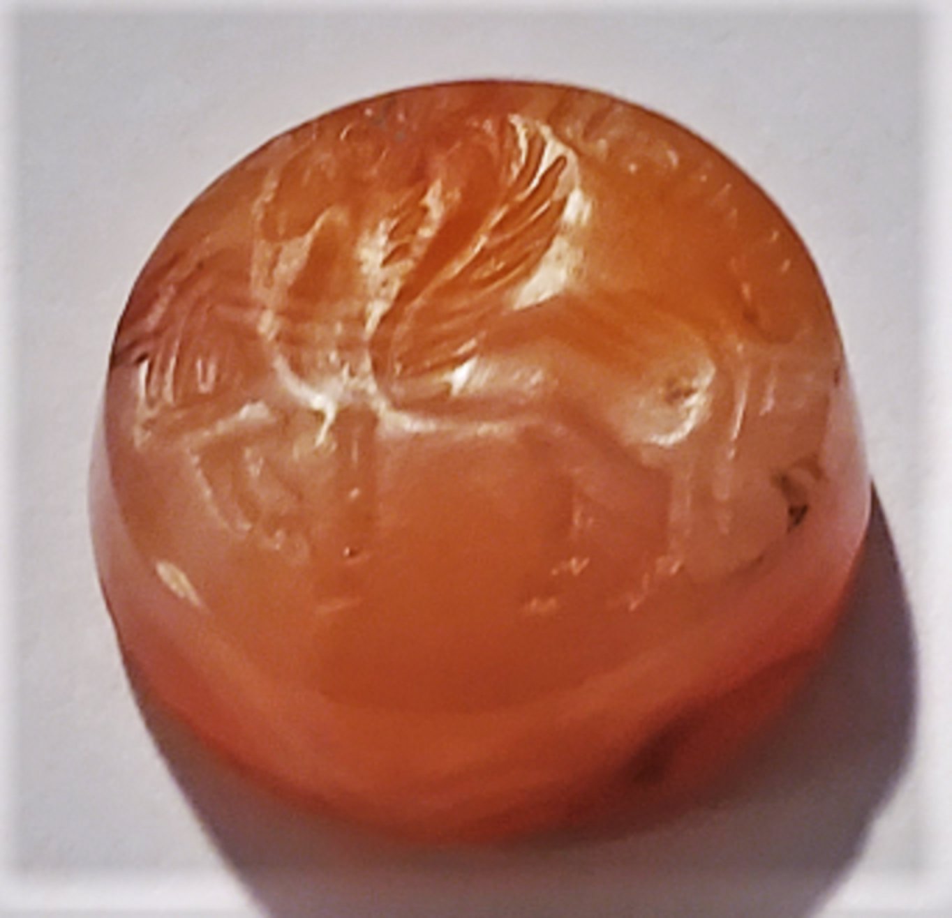 Ancient Carnelian Agate Pefasus with Pahlavi Inscription Stamp Seal Lot