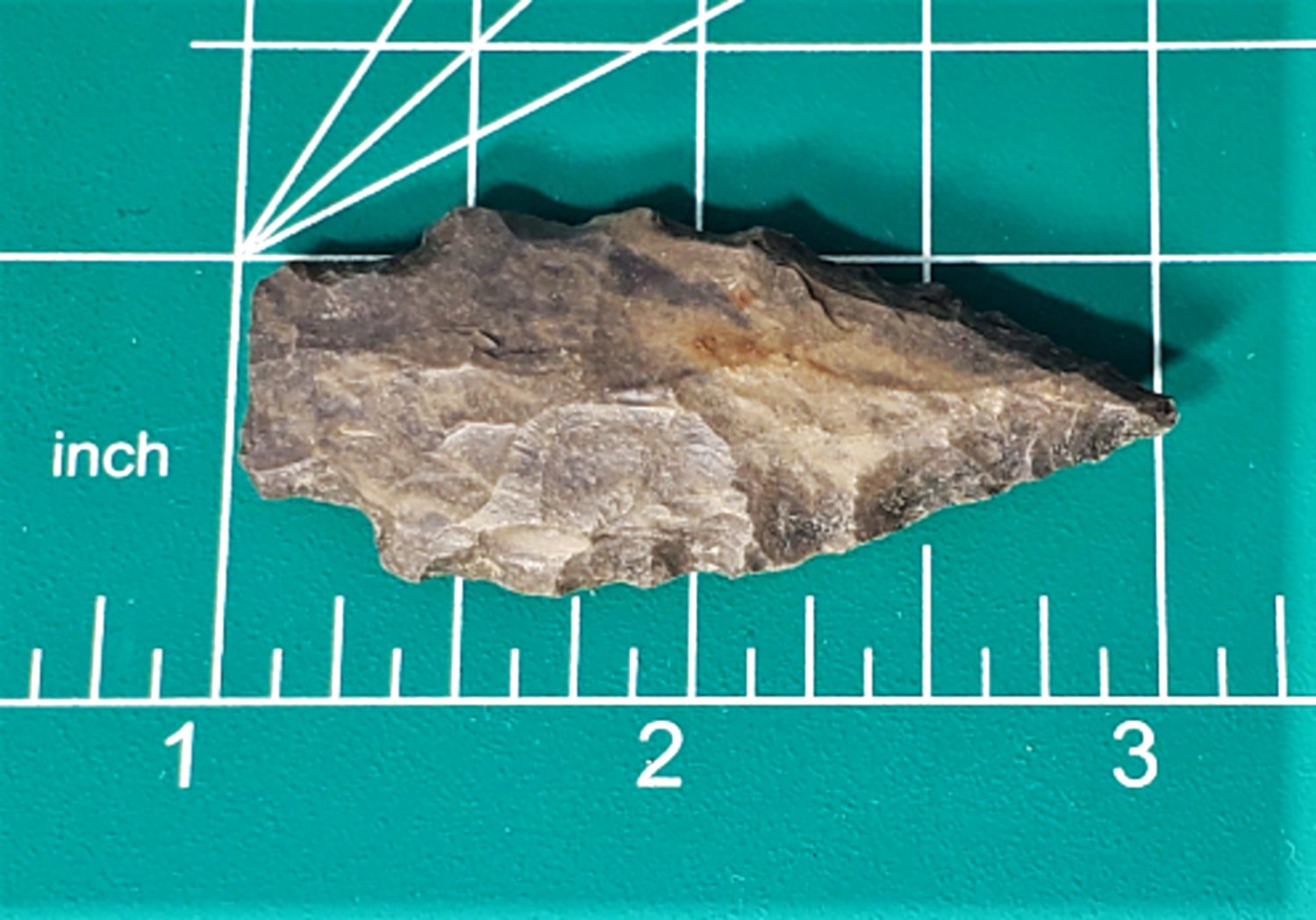 Ancient AL Archaic Basal Notch Grey Chert Arrowhead Lot