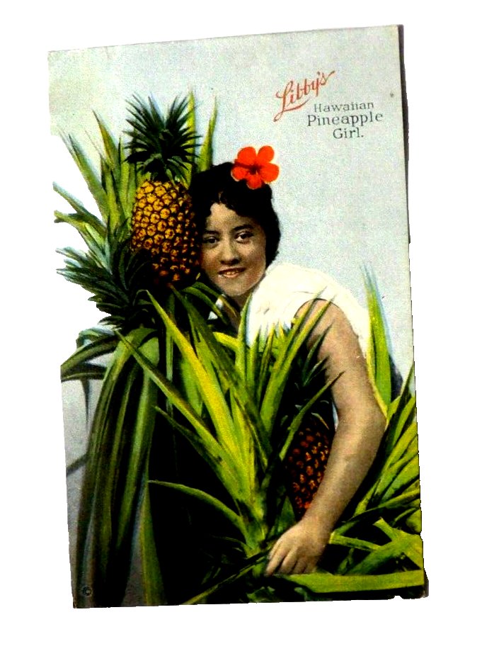 Libby's Hawaiian Pineapple Girl Island Curio Co Honolulu Hawaii 1910 Postcard TH