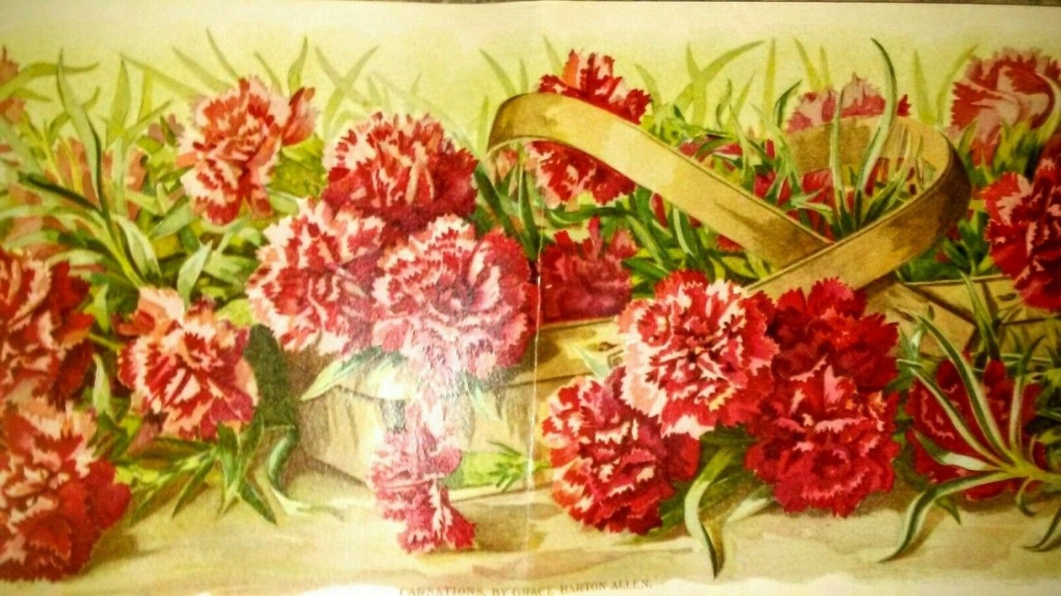 GRACE BARTON ALLEN CARNATIONS 1899 LITHO VICTORIAN BOTANICAL FLORAL ...