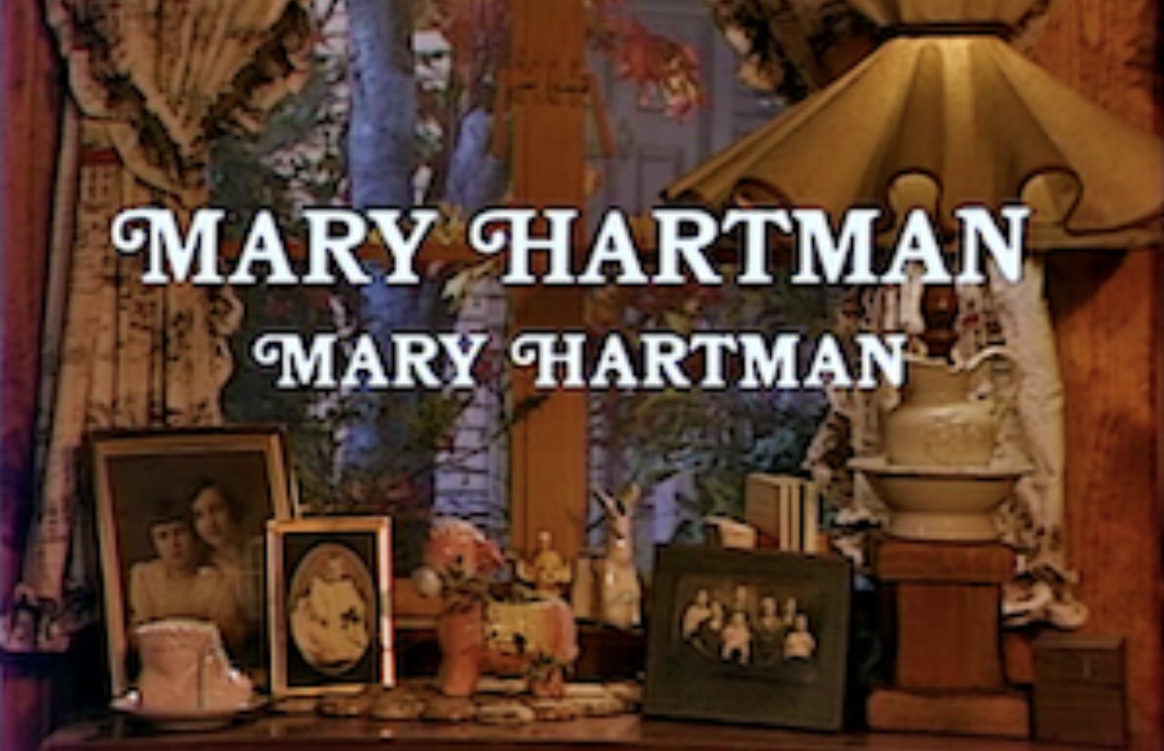 Mary Hartman Mary Hartman Complete Series These Are Handmade Sets Not ...