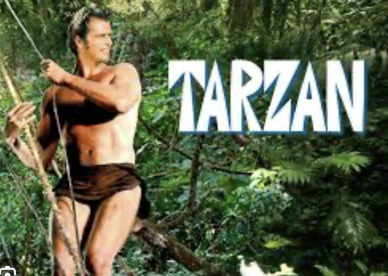 Tarzan (1966) Complete Series These Are Handmade Sets Not ORIGINALS