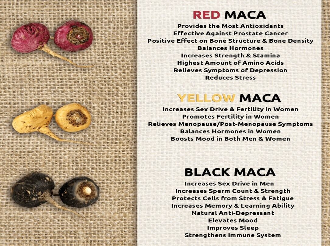 Maca Root Capsules – Extra-Strength Peruvian Maca Powder | Men & Women ...