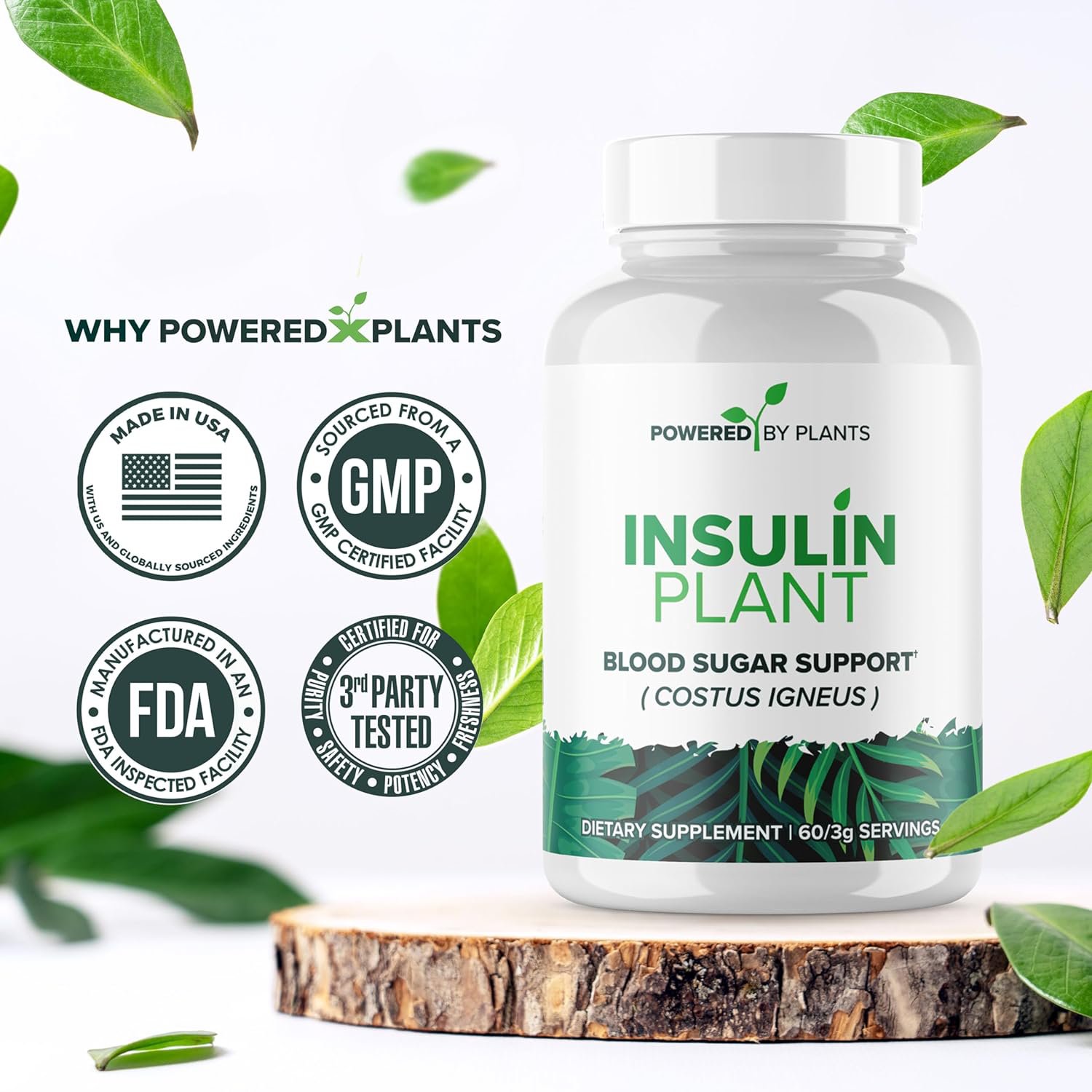 Insulin Plant Capsules | Full Costus Igneus Support for Healthy Blood ...