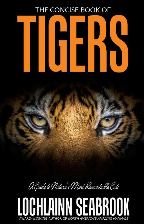 Poster Based on the Book Cover "The Concise Book of Tigers" 11 in x 17 in