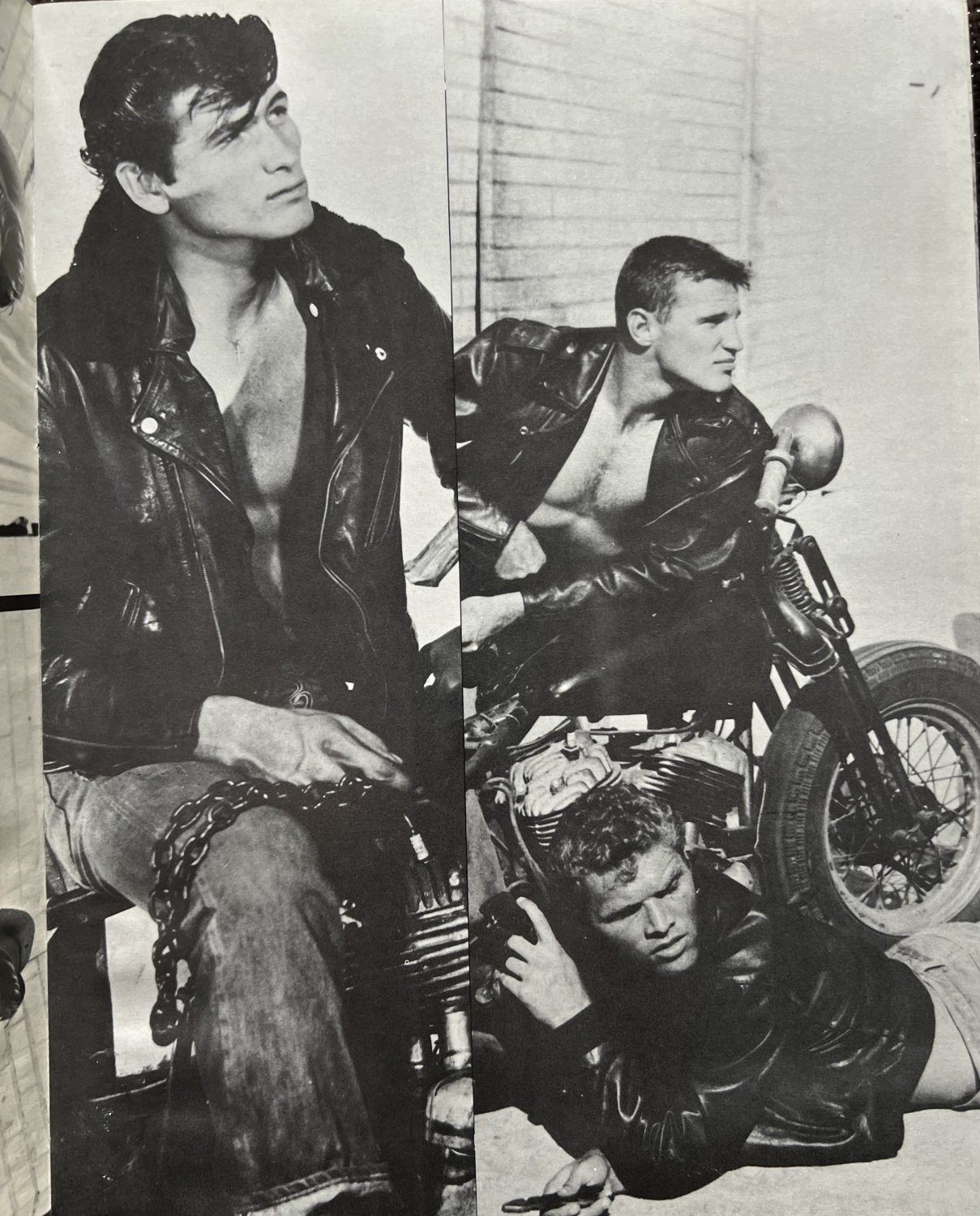 ROBERT PAYNE LEVIS CROWD (1967) Gay AMG BOB MIZER Vintage Art Photos ...