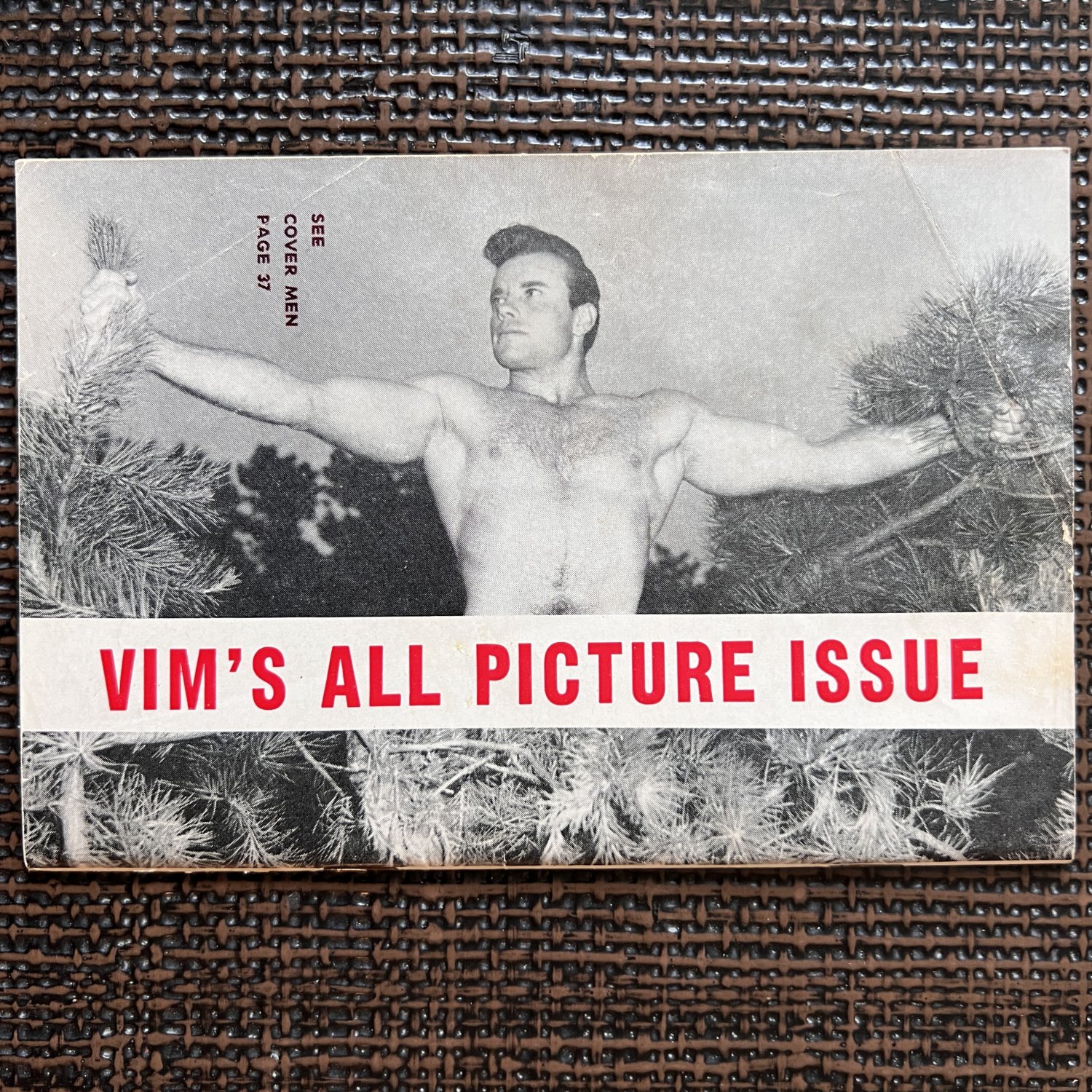 VIM Vol.4 No.7 (1957) Posing Strap Physique Art Photos Male Figure ...