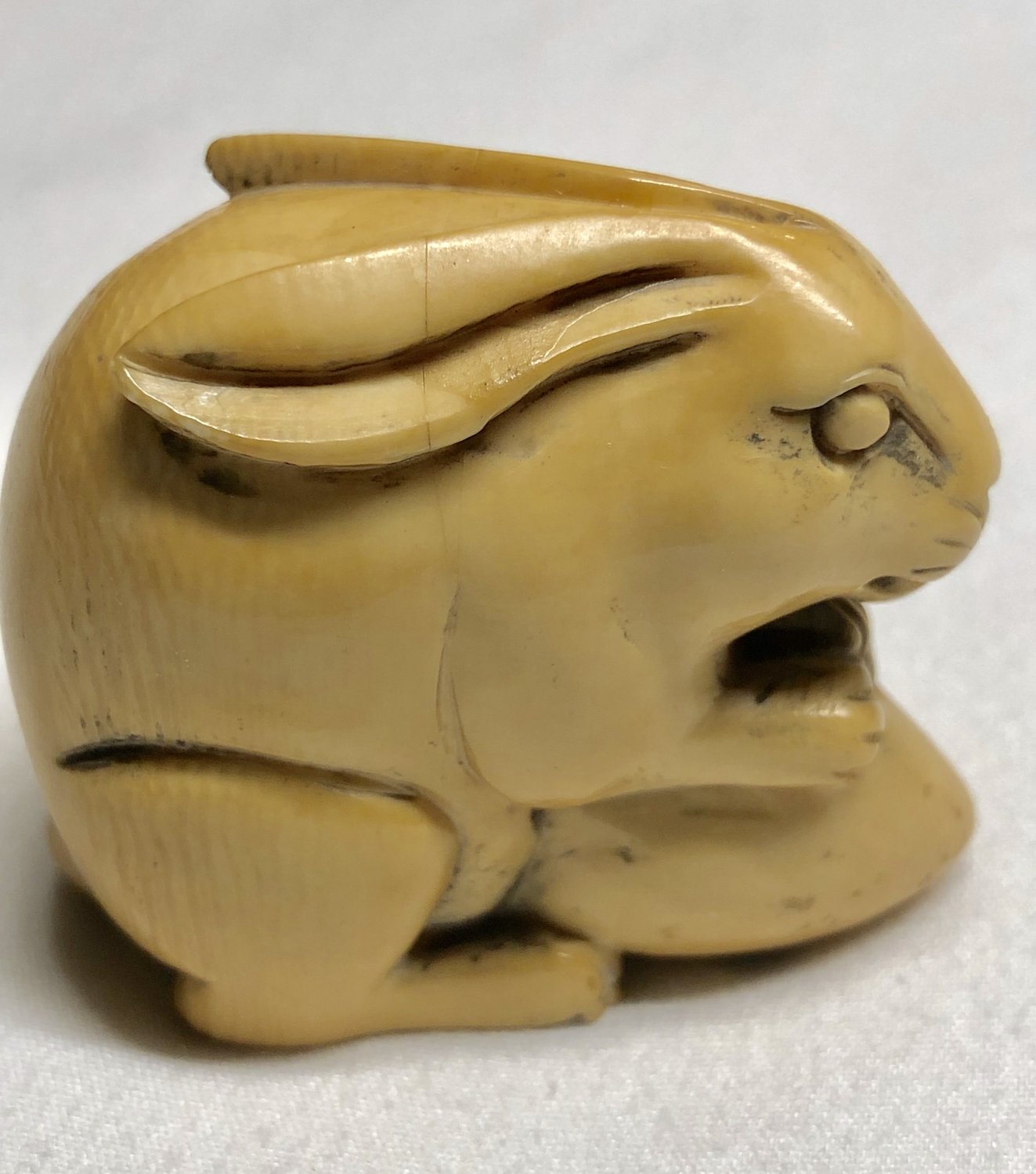 Japanese Signed Hand Carved Netsuke Rabbit