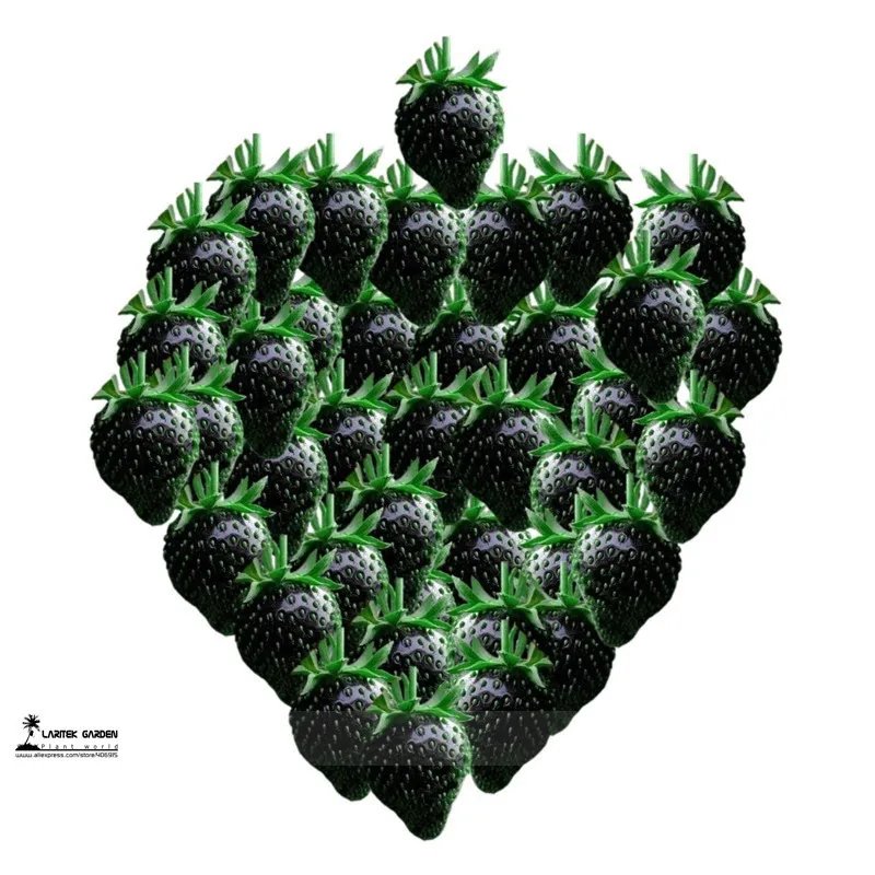 Rare Heirloom Super Black Strawberry Organic Seeds, Professional Pack ...