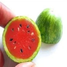 Rare the Rarest Red Mini Thumb Watermelon Seeds
