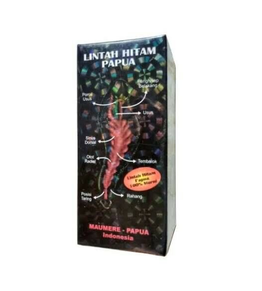 Original Papua Black Leech Oil-Helps To Enlarge And Lengthen The Penis ...
