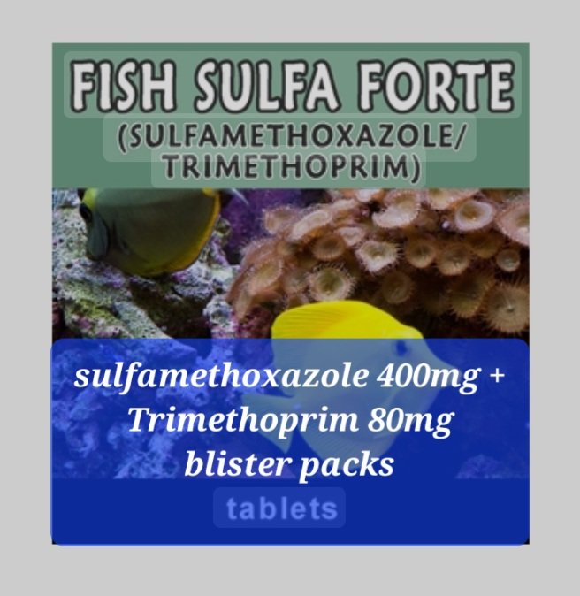 Fish Sulfa Forte Aquarium Treatment 480mg 50 / 100 Tab Blister Pack