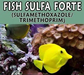 Fish Sulfa Forte Aquarium Treatment 480mg 50 / 100 Tab Blister Pack