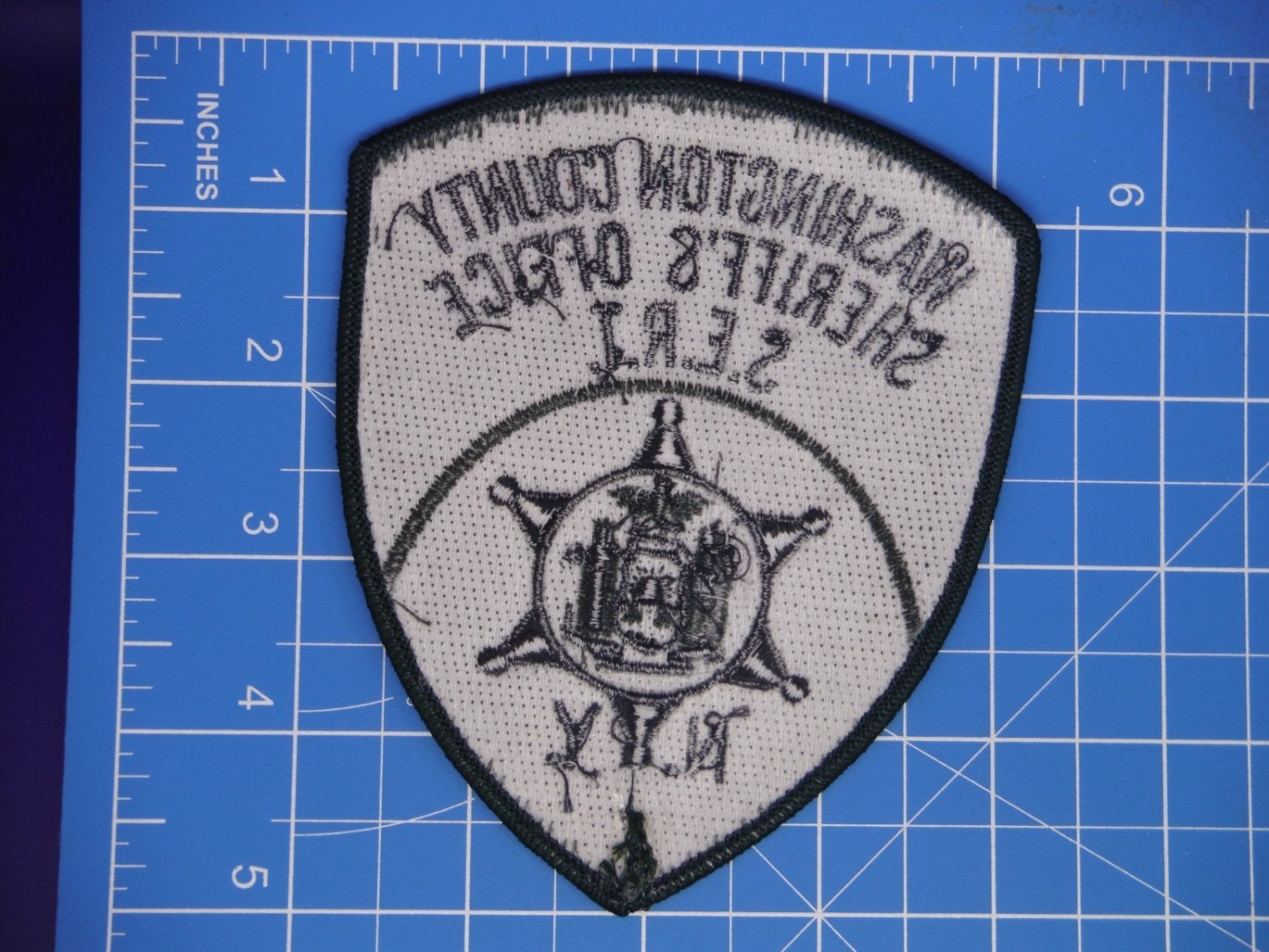 Washington County New York Sheriff's SERT Team patch-Bin A