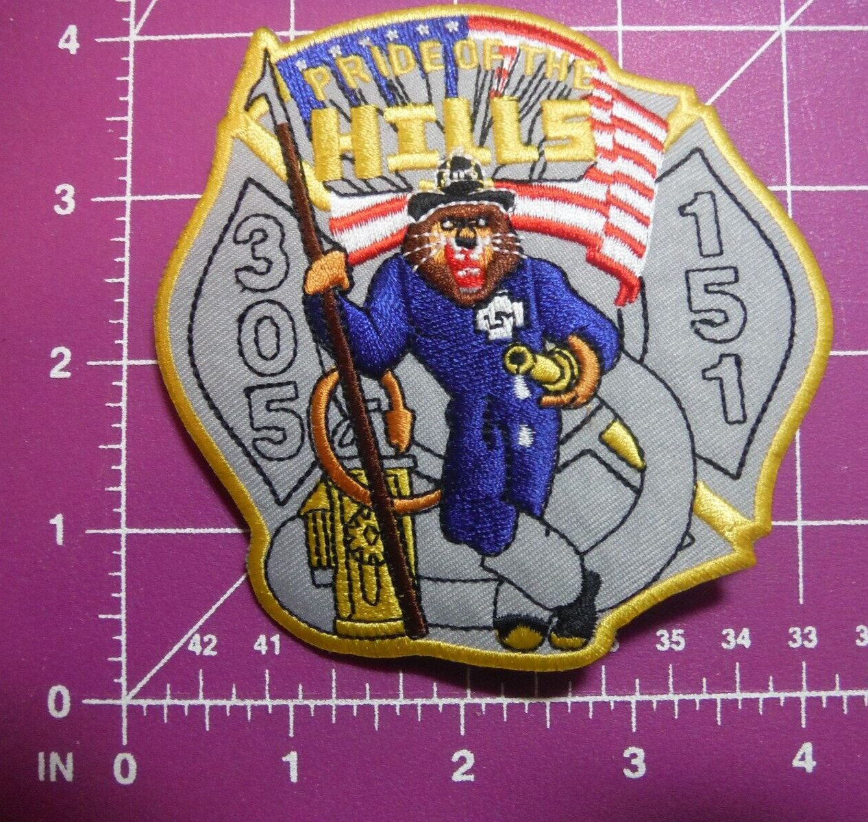 FDNY-NYC Fire Eng 305 Ladder 151 Pride of The Hills patch