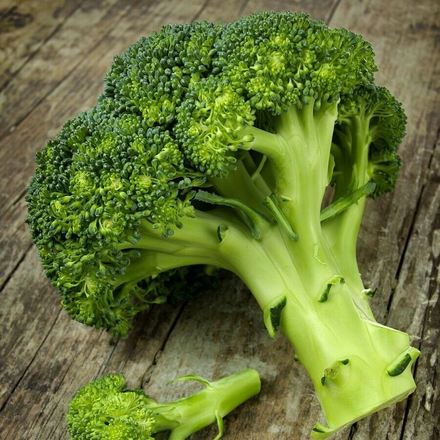 BROCCOLI Di Ciccio EARLY 50 Seeds NON-GM AUD seller