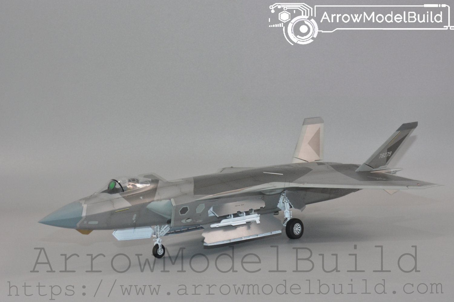 ArrowModelBuild J-20 Stealth Aircraft Fighter Built & Painted 1/72 ...