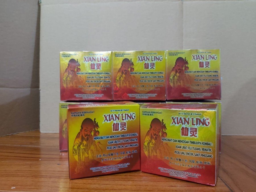 10 BOXES XIAN LING capsules for gout and rheumatism