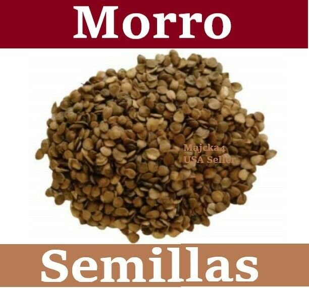 Morro SEMILLAS 3 LIBRAS Bebidas Horchata Morro Semillas