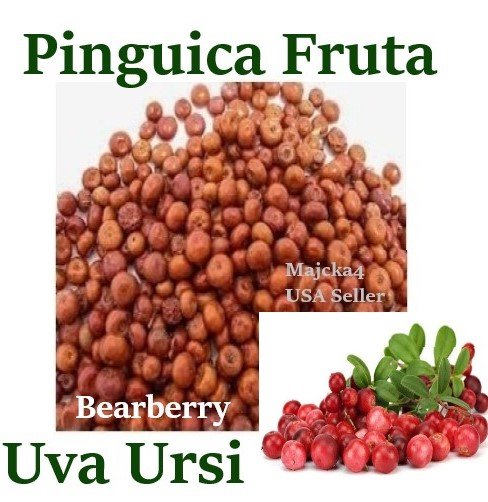 PINGUICA FRUTA y hoja 6 bags semilla fruta UVA URSI FRUIT leaf Hierba ...