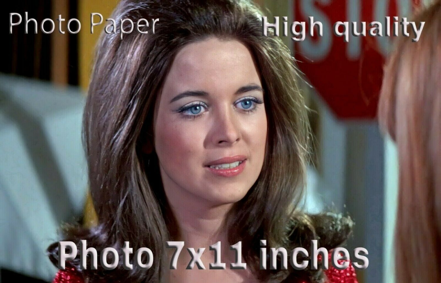 Phyllis Davis Beyond The Valley Of The Dolls Photo Hq 11x7 Inches 08
