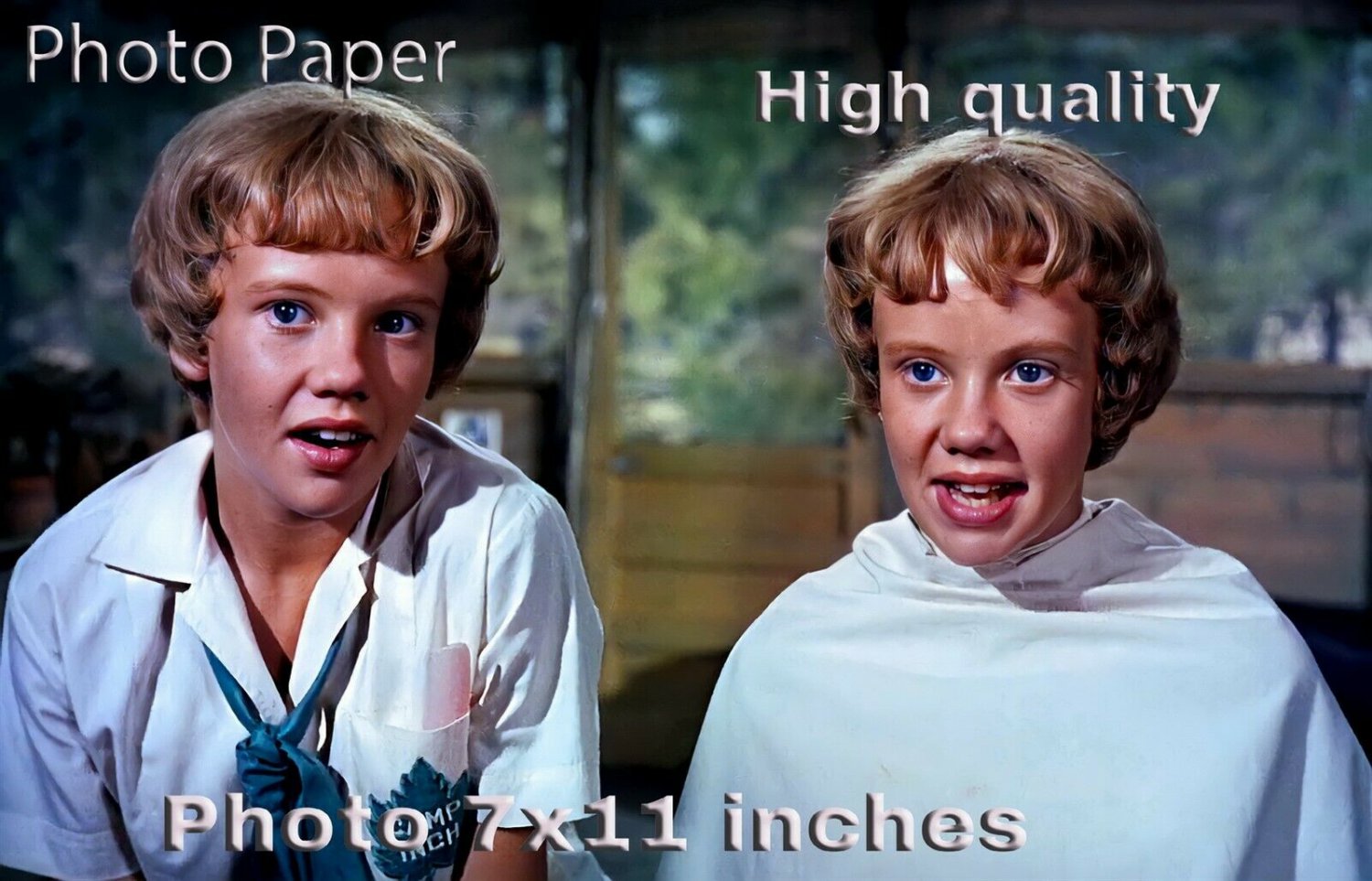 Hayley Mills The Parent Trap PHOTO HQ 11x7 inches #50