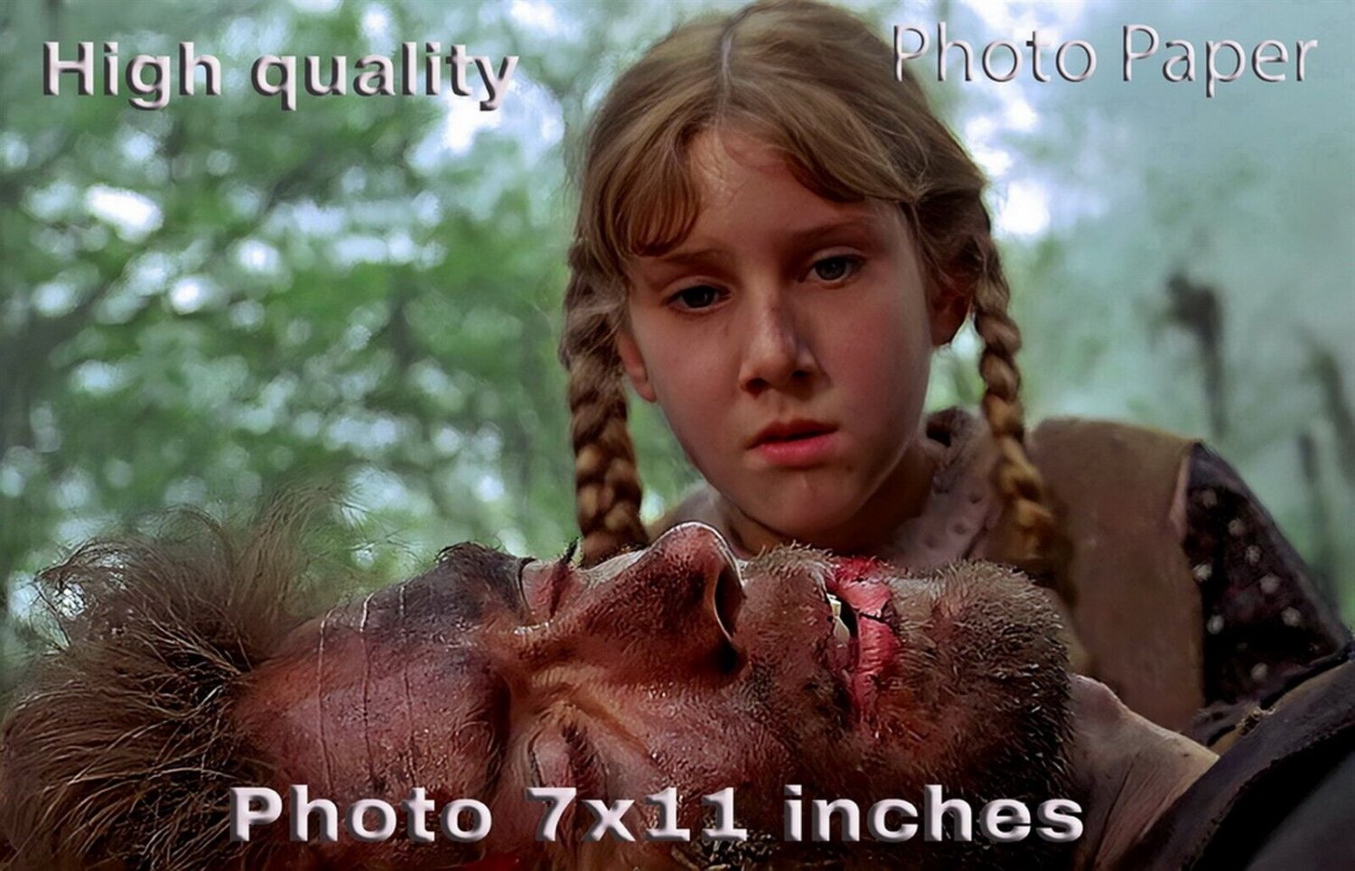 Clint Eastwood Pamelyn Ferdin The Beguiled PHOTO HQ 11x7 inches #02