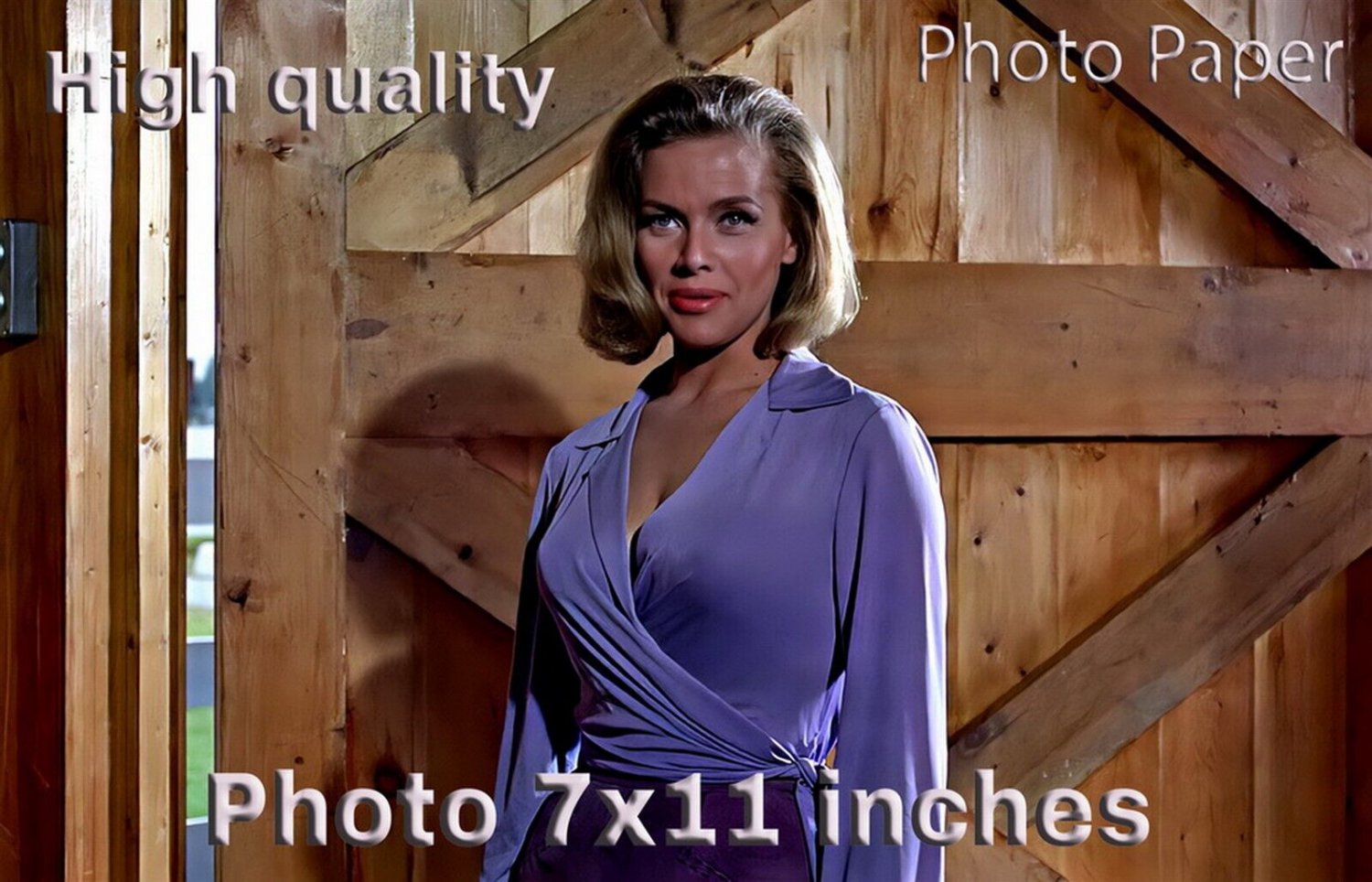 Honor Blackman JAMES BOND 007 Goldfinger PHOTO HQ 11x7 inches #04