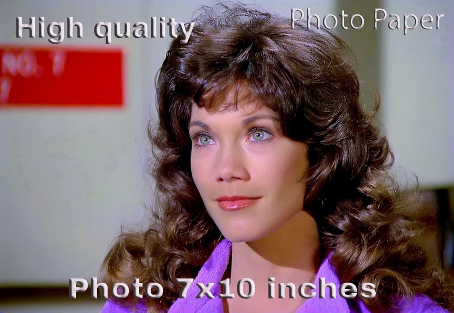 Barbi Benton LOVE BOAT PHOTO HQ 10x7 inches #03