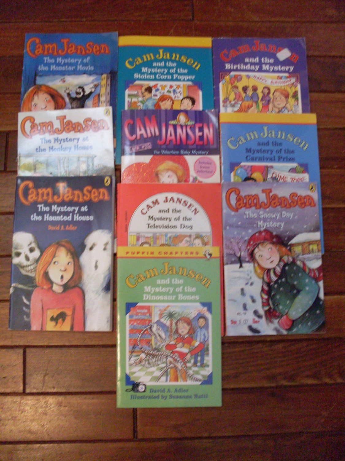 Lot 10 Cam Jansen PB Mystery Chapter Book Lot