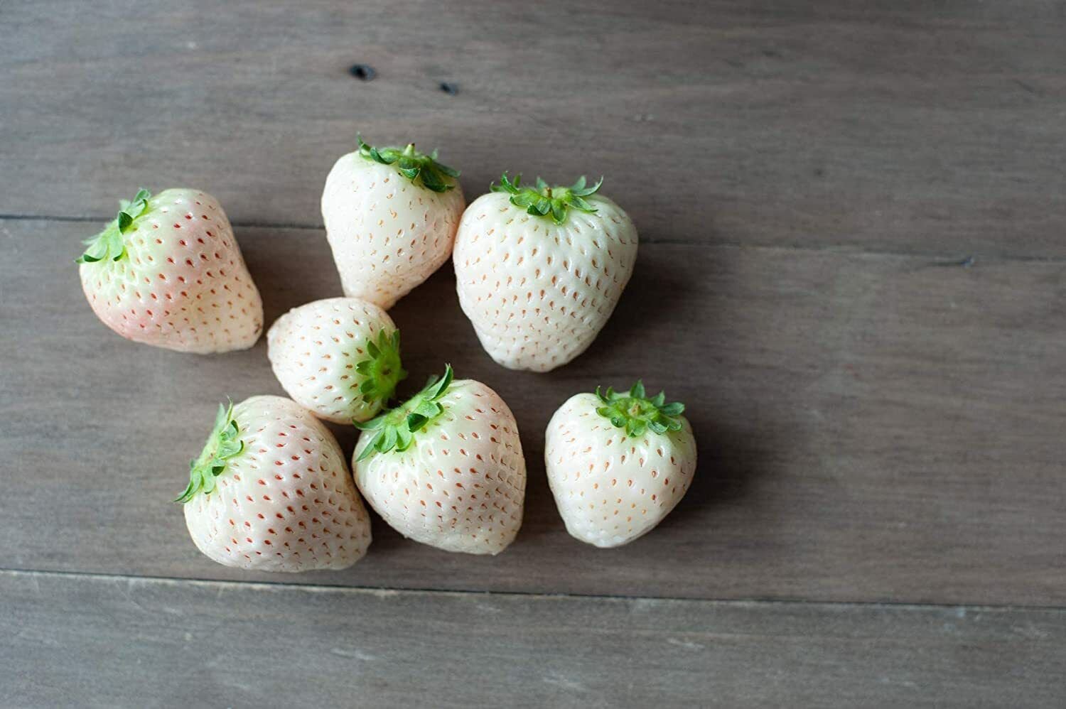 White Pineberry 500 White Strawberry (White Pineberry) seeds