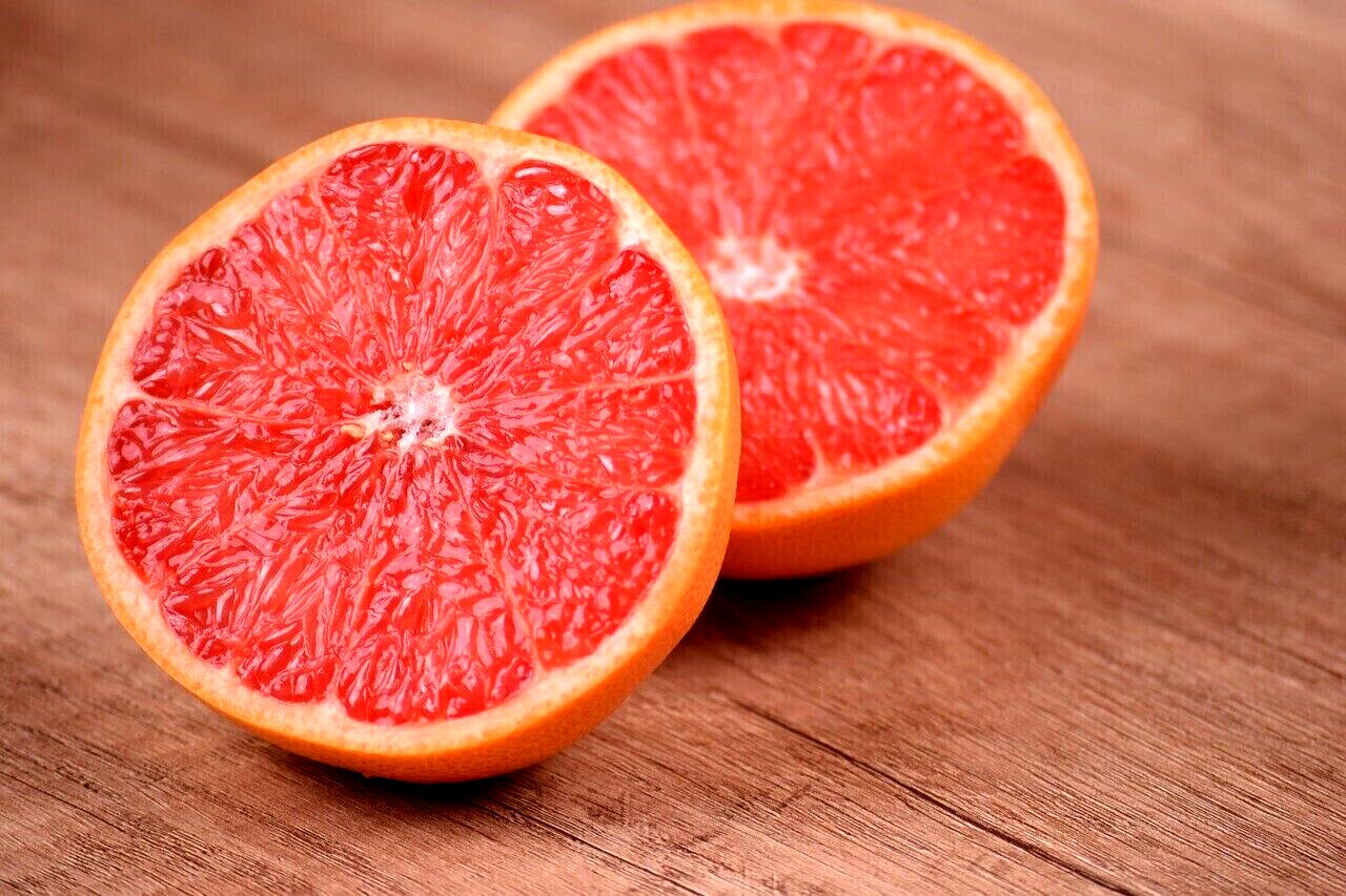 5 Seeds - RED STAR RUBY CITRUS Fruit Seeds - Fruit Garden Seeds