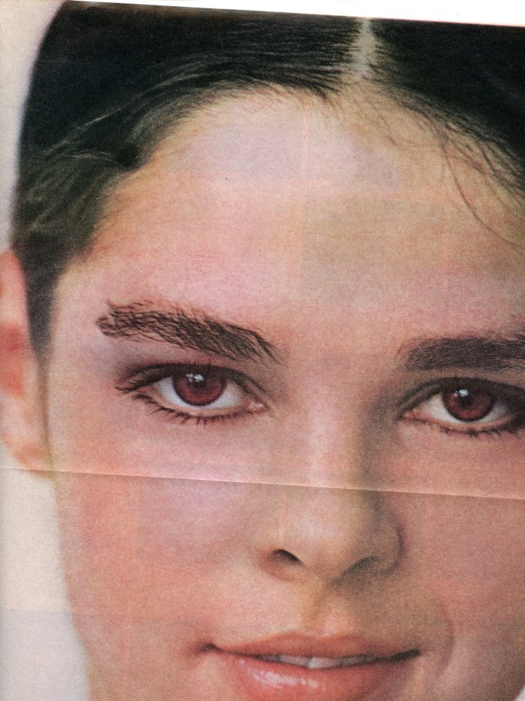 Ali MacGraw 1 page magazine photo clipping X5732