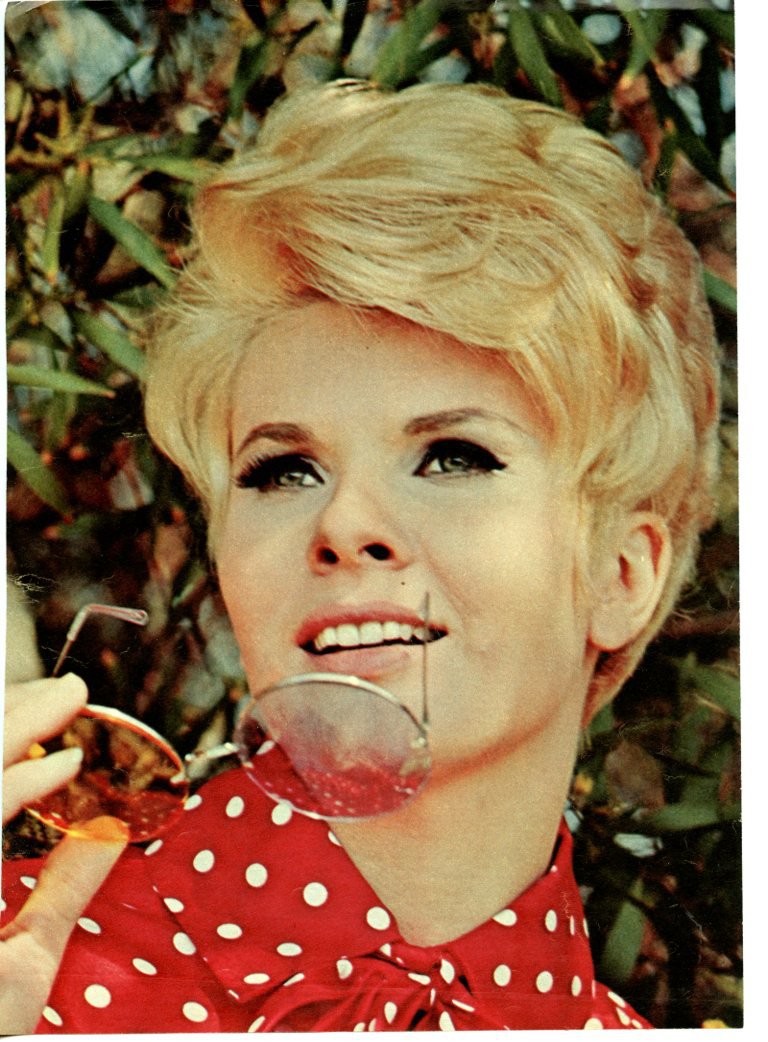 Barbara Anderson 1 page magazine photo clipping C0732