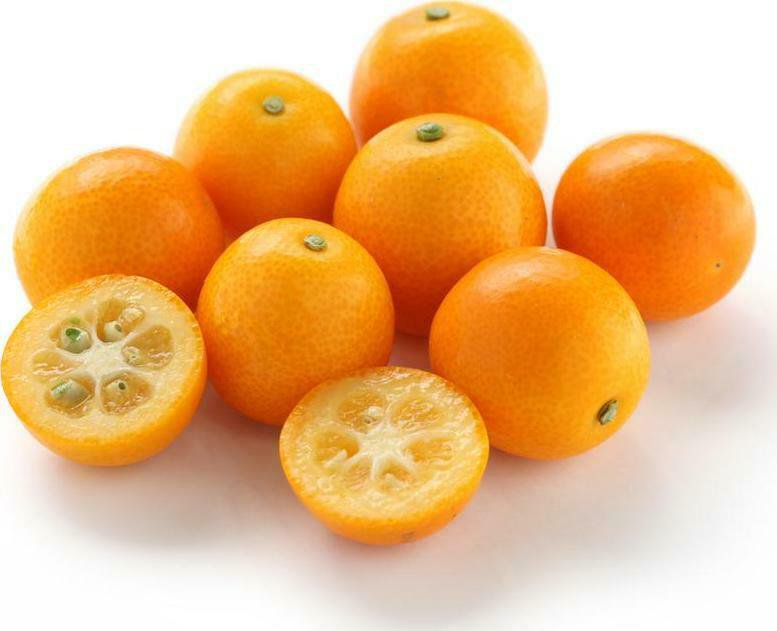 Fruit Tree Plant Semi Dwarf Live Citrus Plant Potted 2pcs Marumi ...