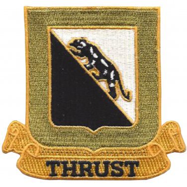 89TH ARMOR TANK BATTALION PTACH
