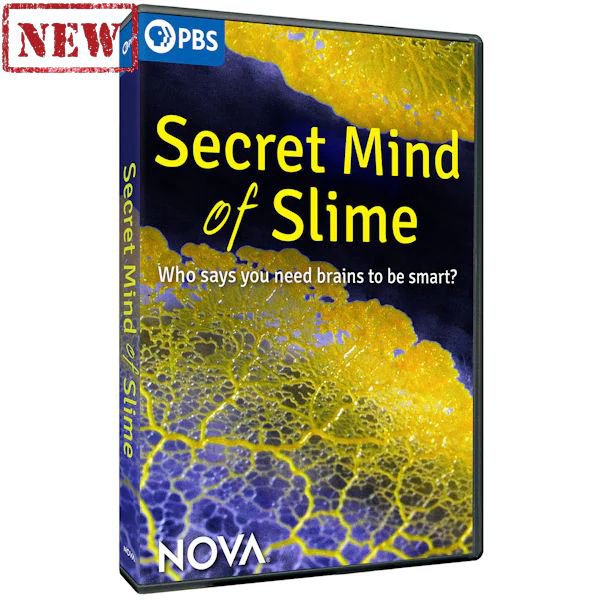 NOVA: Secret Mind of Slime DVD
