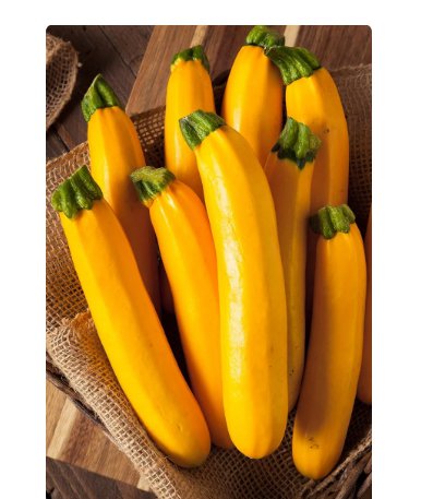 20 Count Vegetable Seeds 5 Species Summer Squash Mix Seeds | Best ...