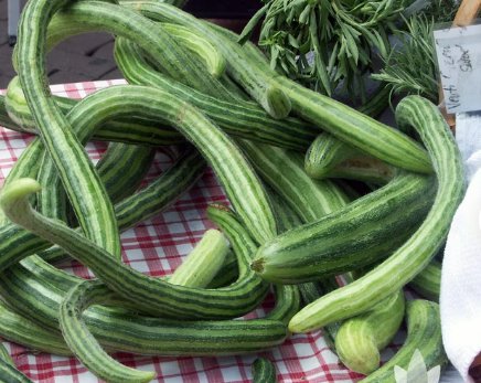 240 Seeds Painted Serpent, Vegetable Cucumber Armenian Striped For Garden
