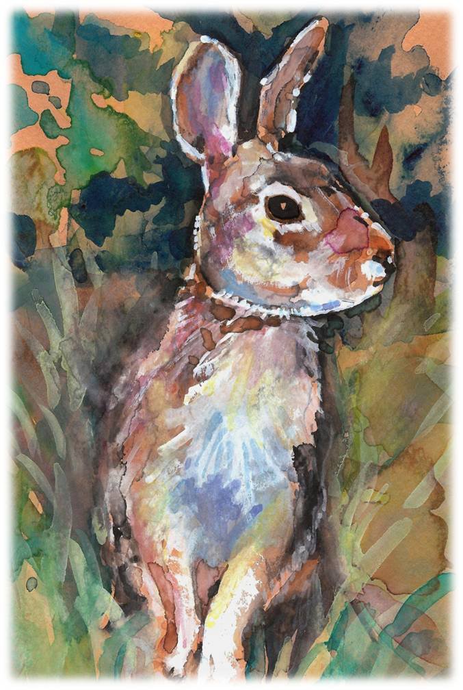 "Cottontail Rabbit" Watercolor Painting Print
