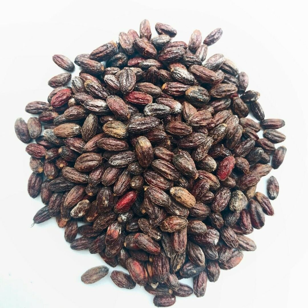 50 Coca seeds ORGANIC High Germination 2 buy get free 5 seeds