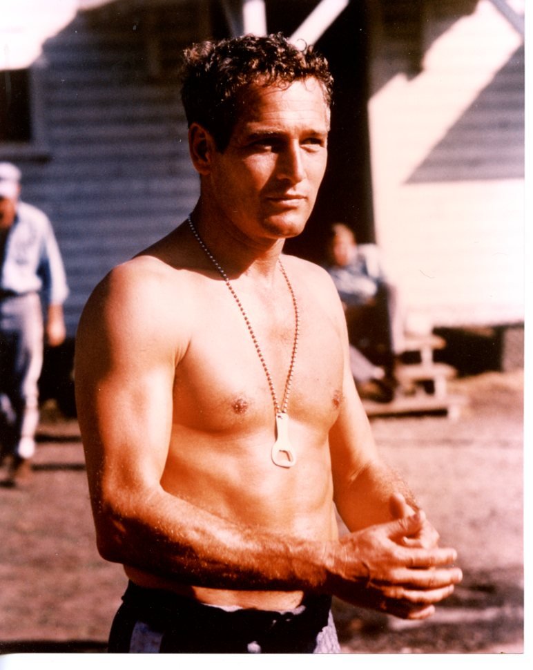Paul Newman Shirtless 8x10 photo #N6809