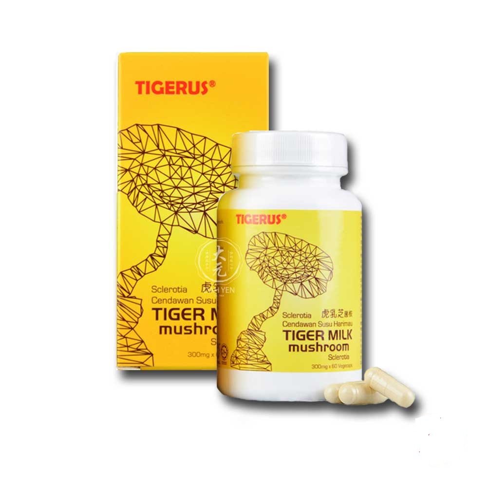 Cough Sinus Relief TIGERUS Tiger Milk Mushroom Sclerotia 60 capsules x ...